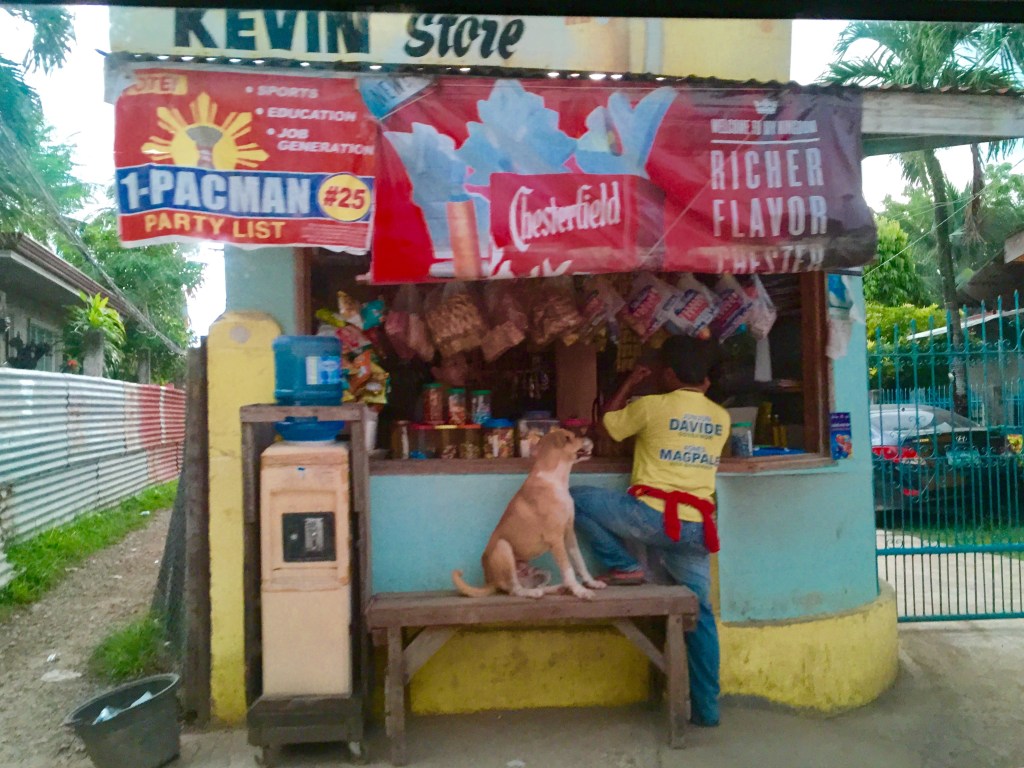 Destination: Cebu City, Philippines | The Finicky Wanderer